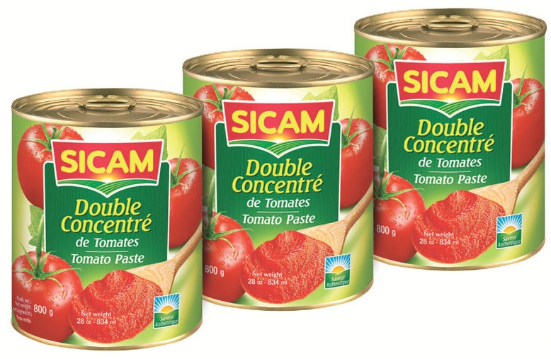 SICAM - DPI