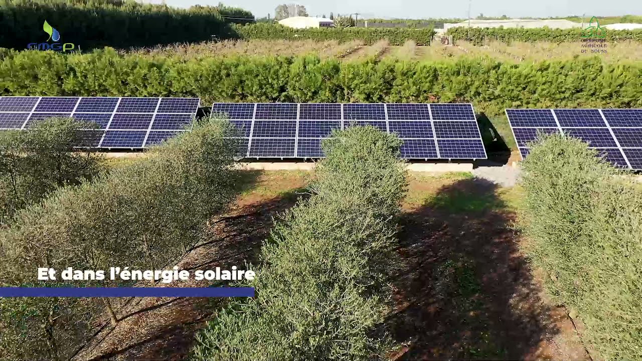 DPI Film Library - DPI