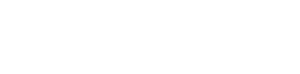 Nawy-white-Logo-1024x254.png